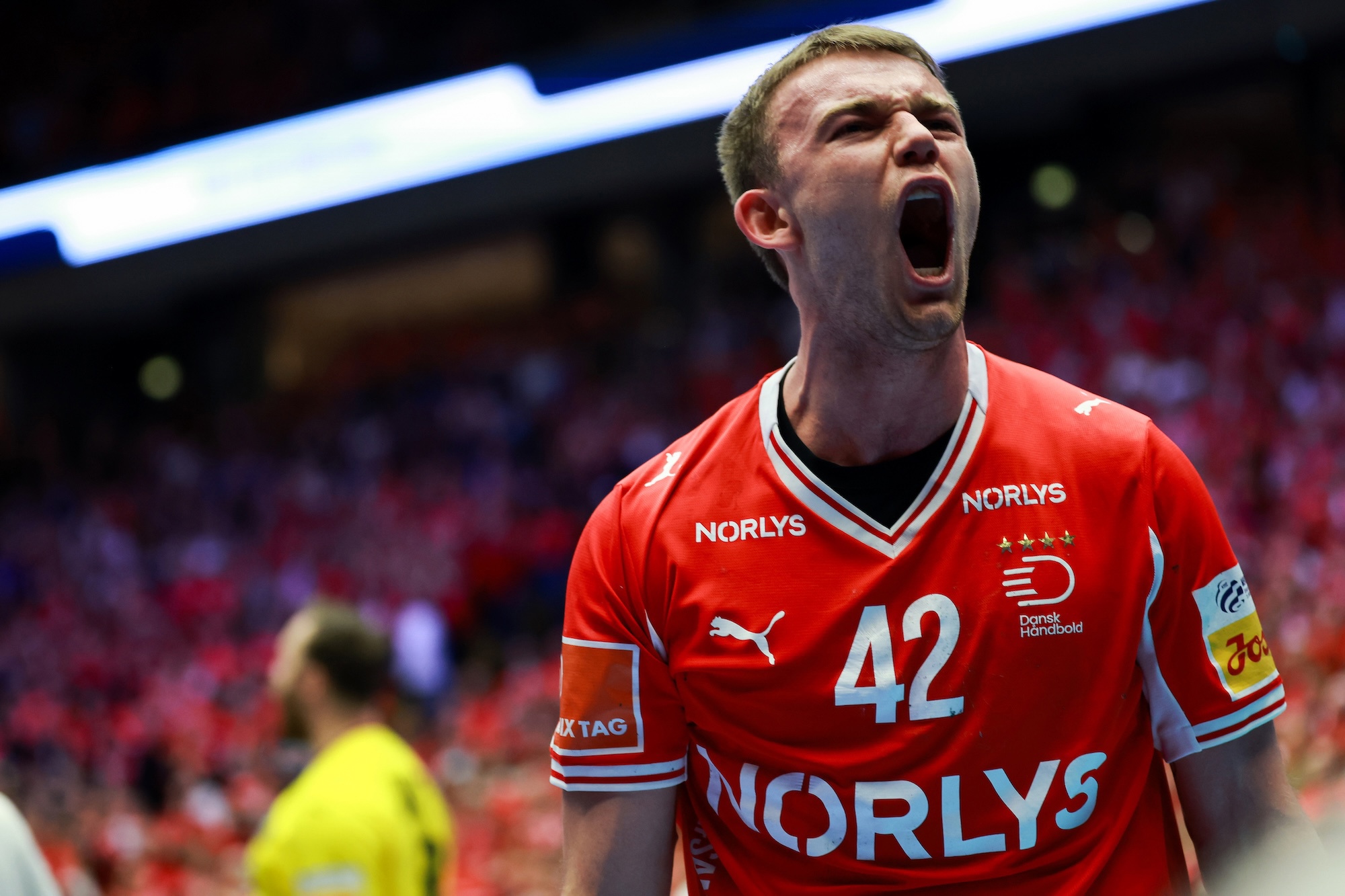 Denmark 34:27 Germany - Final | European Championship