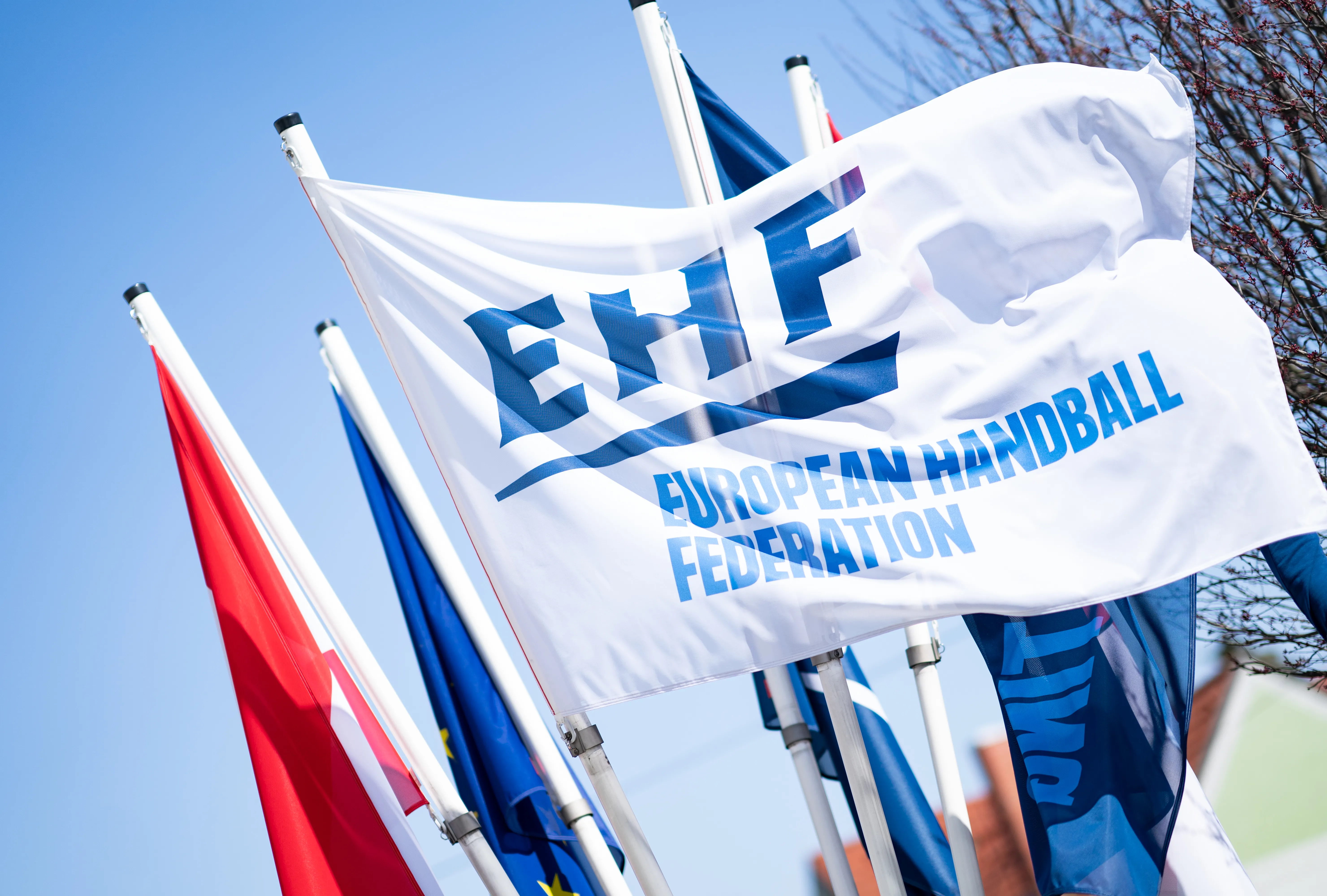 Court of Handball fines Croatian Handball Federation